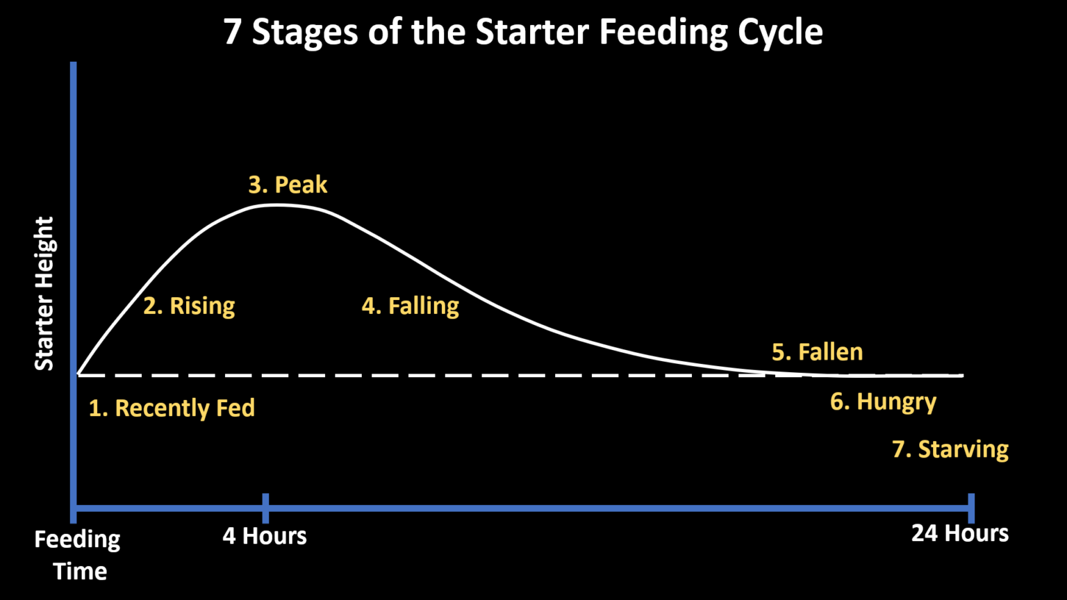 FAQ - Starter Strengthening | The Sourdough Journey