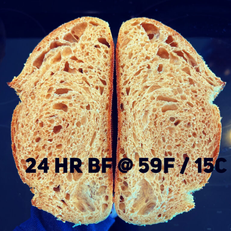 Experiment: 24-Hour Bulk Fermentation Using a Cold Proofer | The ...